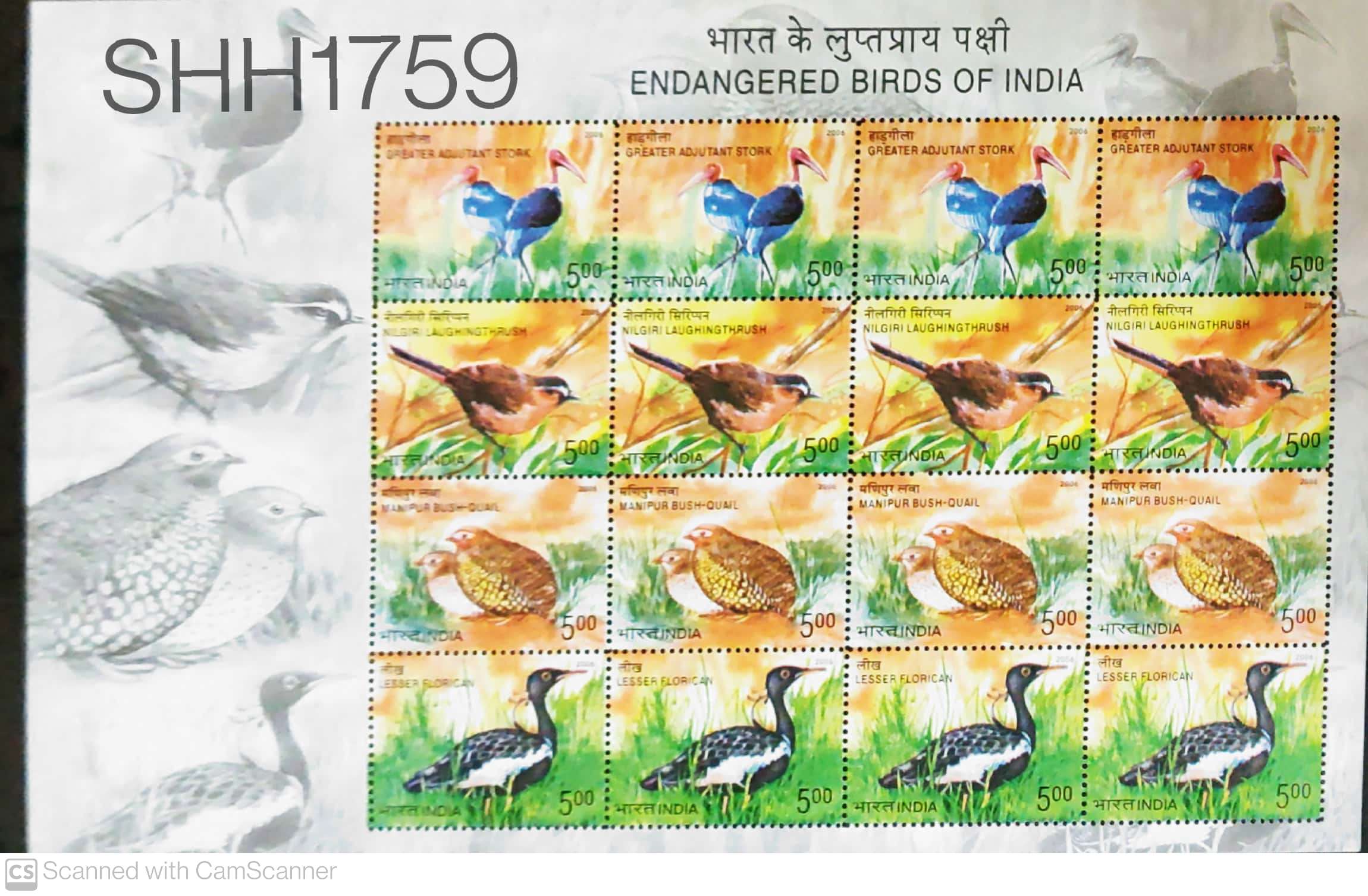Endangered Birds Of India Animals Of India #49 : Portraits Of A